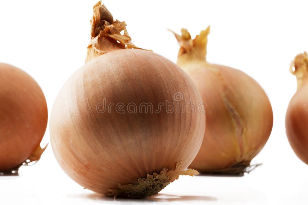 Onion in front of some stock image. Image of organic - 14448195