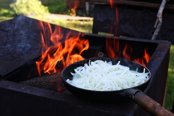 Onion fry on fire outdoors stock image. Image of coal - 199763837