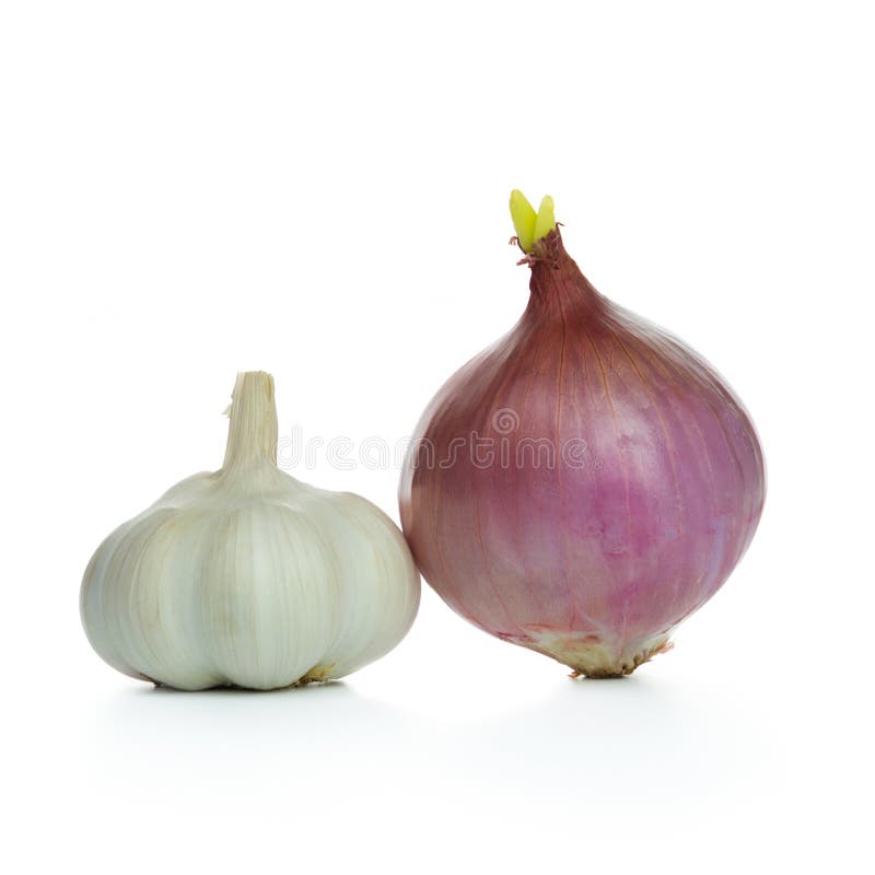 Garlic stock photo. Image of seasoning, garlic, veggies - 23959580