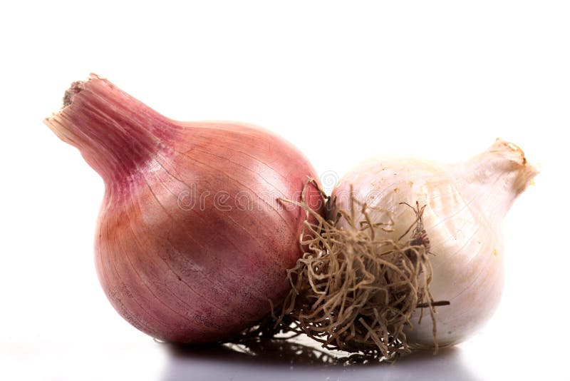 Garlic pods stock photo. Image of kitchen, healthy, smell - 17608850