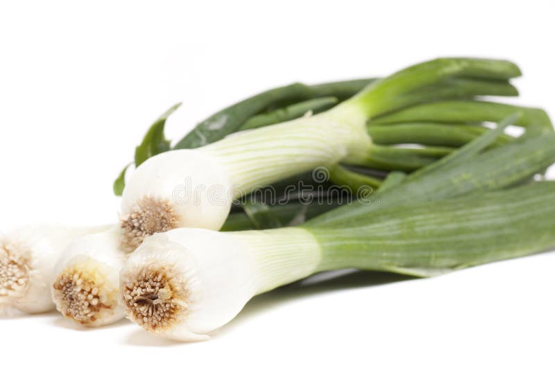 Onion green stock image. Image of healthy, spice, onion - 29487769