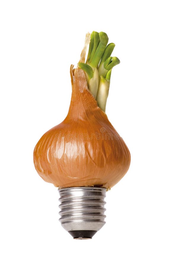 Onion green energy stock image. Image of electricity - 13313783
