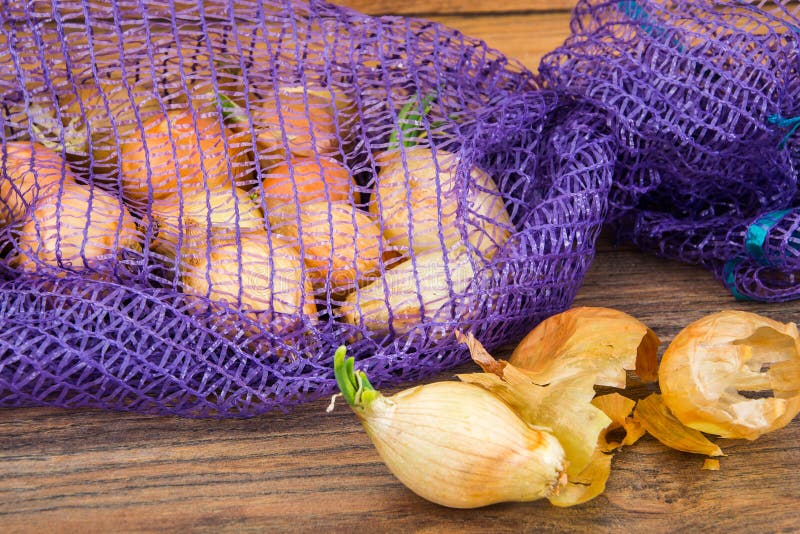 Onion in a grid stock image. Image of mesh, nutrition - 88335985