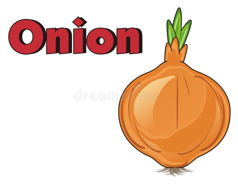 Onion in cap stock illustration. Illustration of cartoon - 89789478