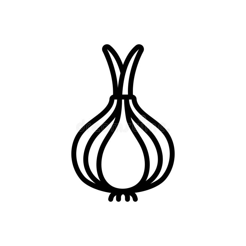 Black Line Icon for Onion, Onion Bulb and Potato Stock Illustration ...