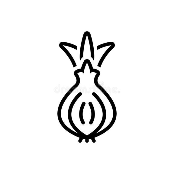 Black Line Icon for Onion, Chive and Vegan Stock Vector - Illustration ...
