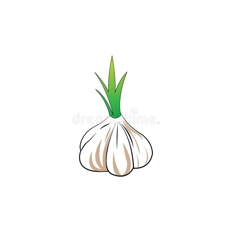 Onion Icon Logo Vector Design Stock Vector - Illustration of nutrition ...