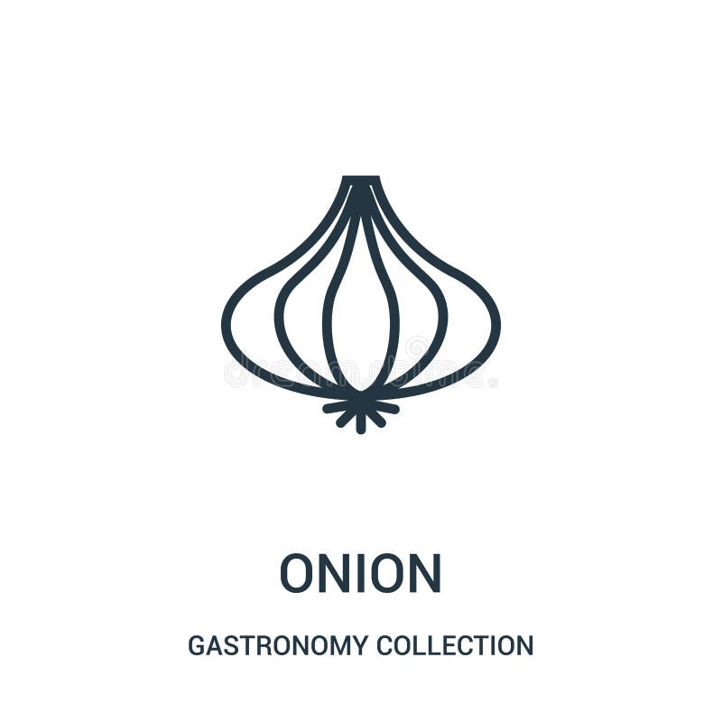 Onion Icon Vector from Gastronomy Collection Collection. Thin Line ...