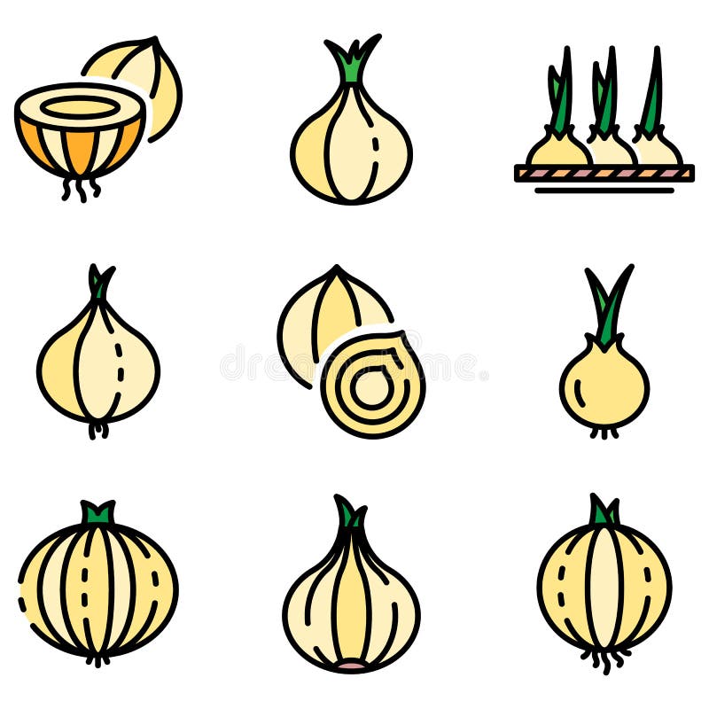 Set of Onion Icons in Different Graphic Styles Stock Vector ...
