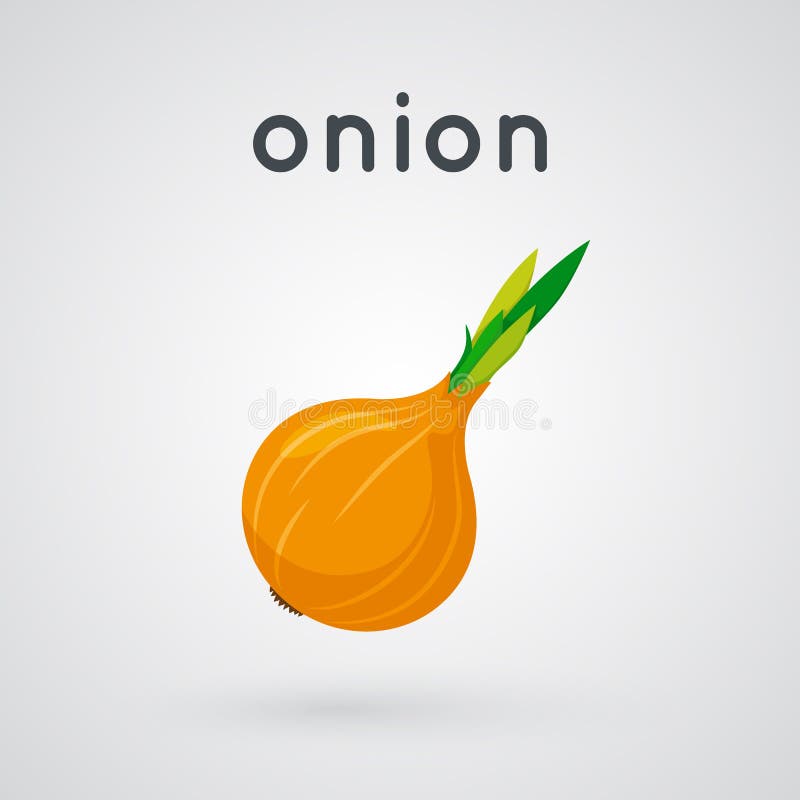 Onion Isolated on Light Background Stock Vector - Illustration of word ...