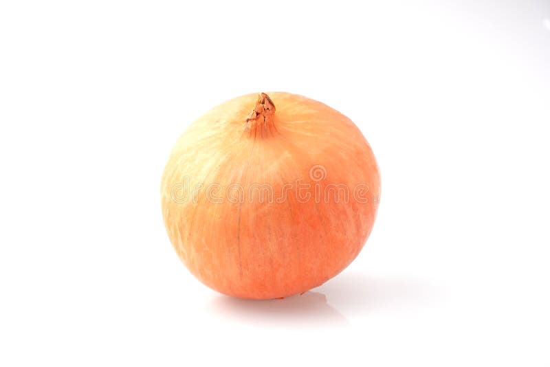 Onion on a White Background Stock Image - Image of ingredient ...