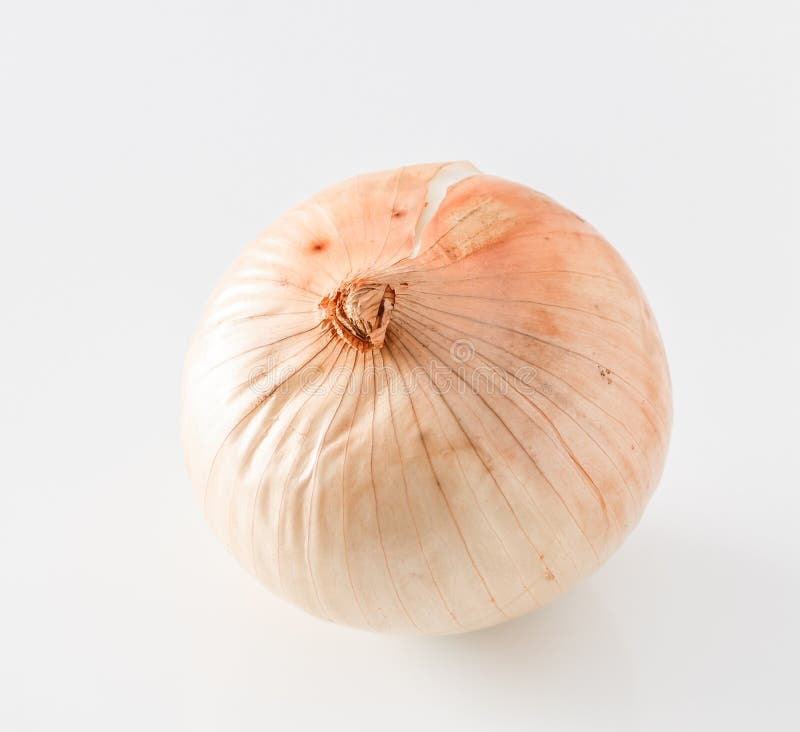 Onion stock image. Image of bulbs, spice, healthy, white - 57970491