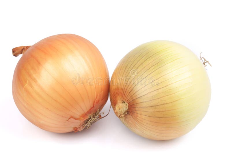 Onion stock photo. Image of gourmet, lifestyle, gold - 168268940