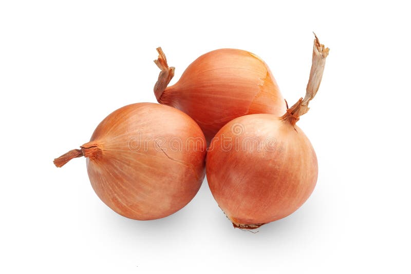 Onion Isolated on White Background. Top View Ripe Onion on White Stock ...
