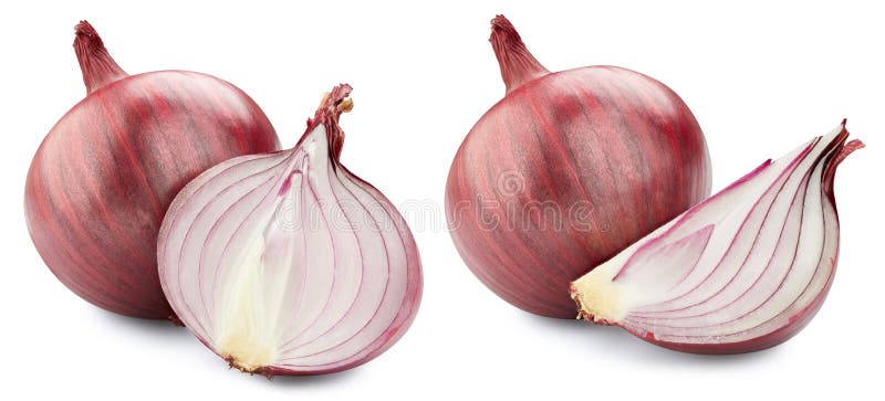 Onion isolated on white stock image. Image of healthy - 161014159