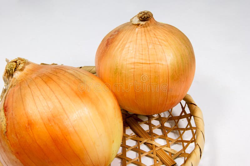 Onion of Japan production. stock photo. Image of basket - 75250436