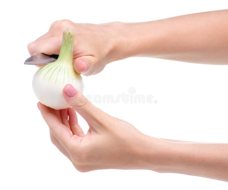 Onion and knife in hand stock image. Image of kitchen - 177591153