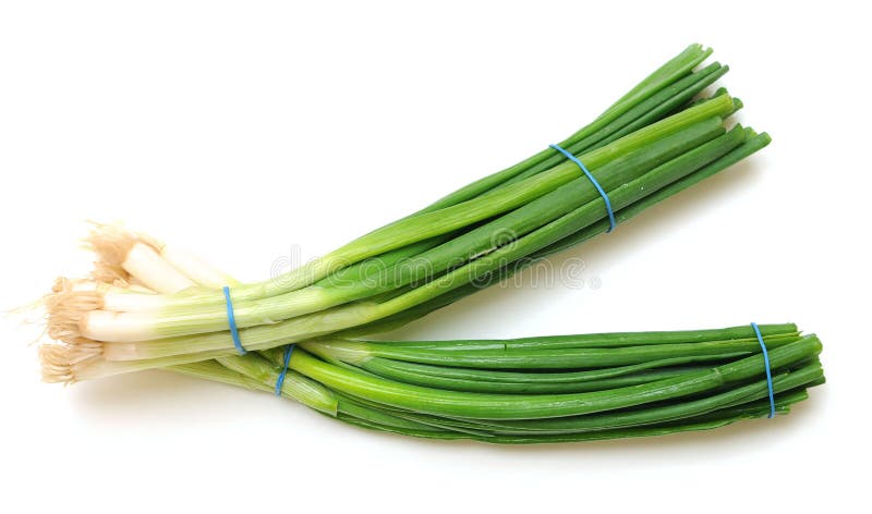 Onion leaf stock image. Image of nature, onion, bunch - 29234759