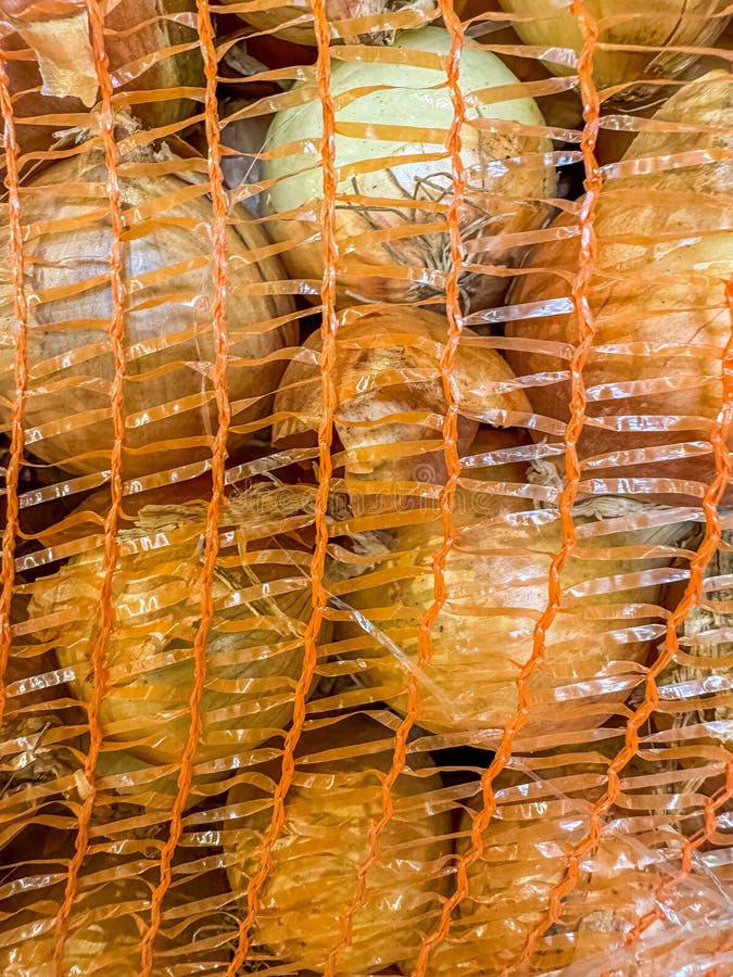 Onion in the mesh. stock image. Image of natural, onion - 336699125