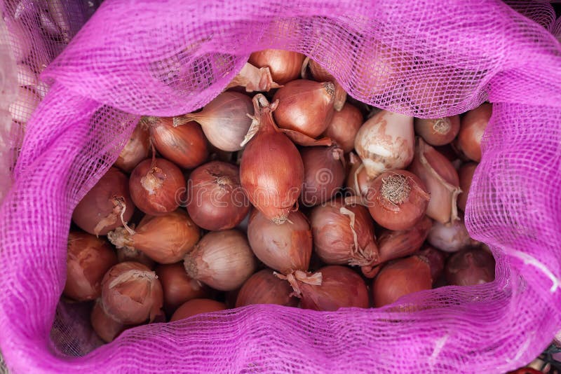 Onion in net bag stock image. Image of nutrition, food - 33321699