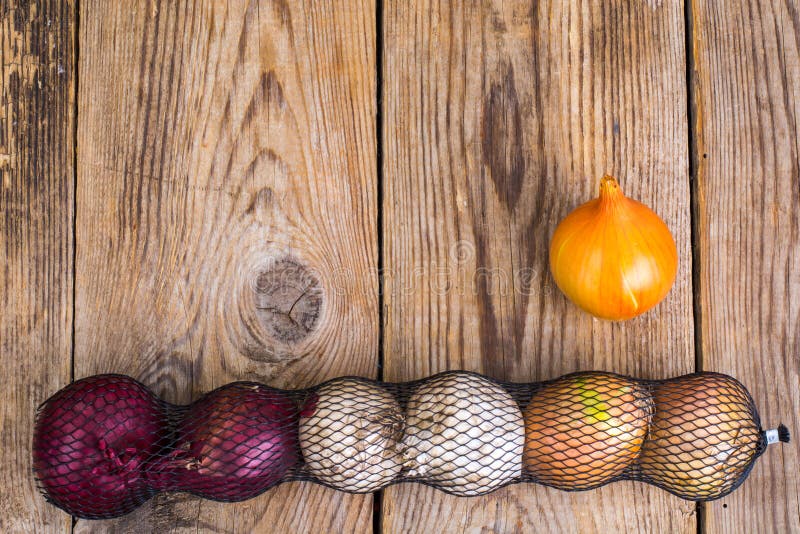 Onion in net stock image. Image of cook, vegetable, organic - 21546563
