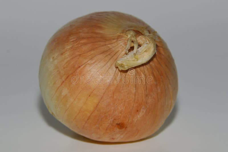 Onion stock image. Image of veggie, single, healthyfood - 94758919