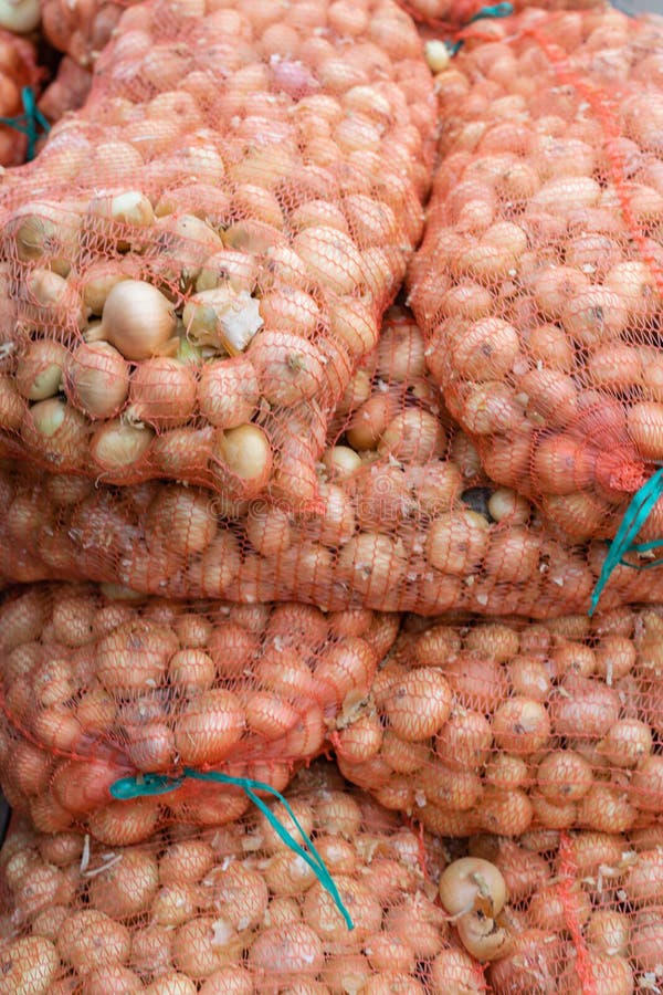 Onion Packed in the Hall Ready for Shipment Stock Photo - Image of ...