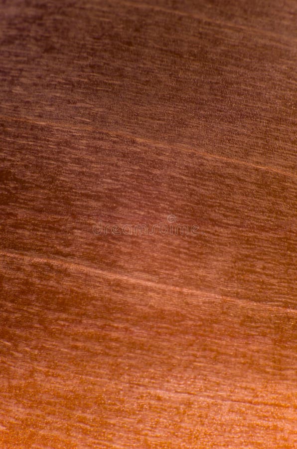 Onion Peel Close-up, Background Stock Image - Image of healthy, pattern ...