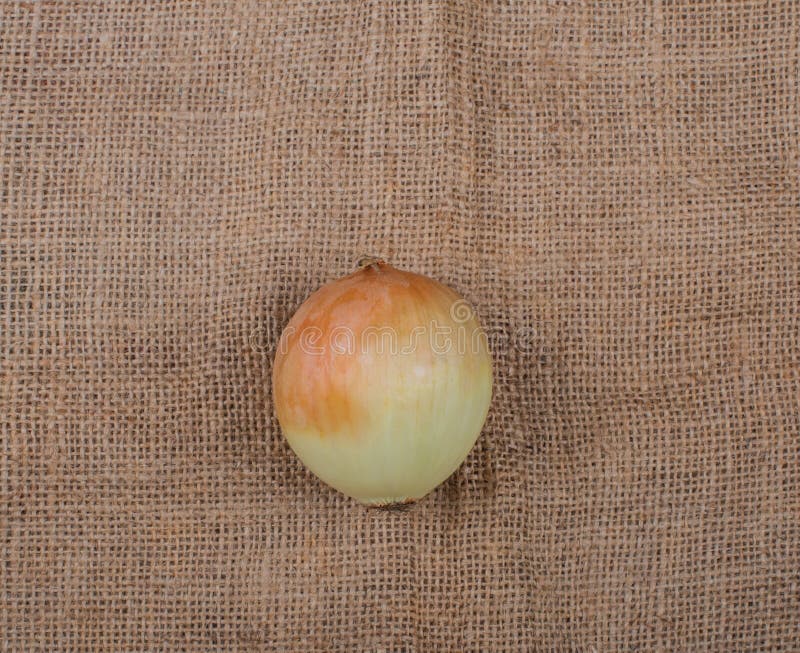 Onion Photographed on a Jute Fabric Stock Image - Image of vitamins ...