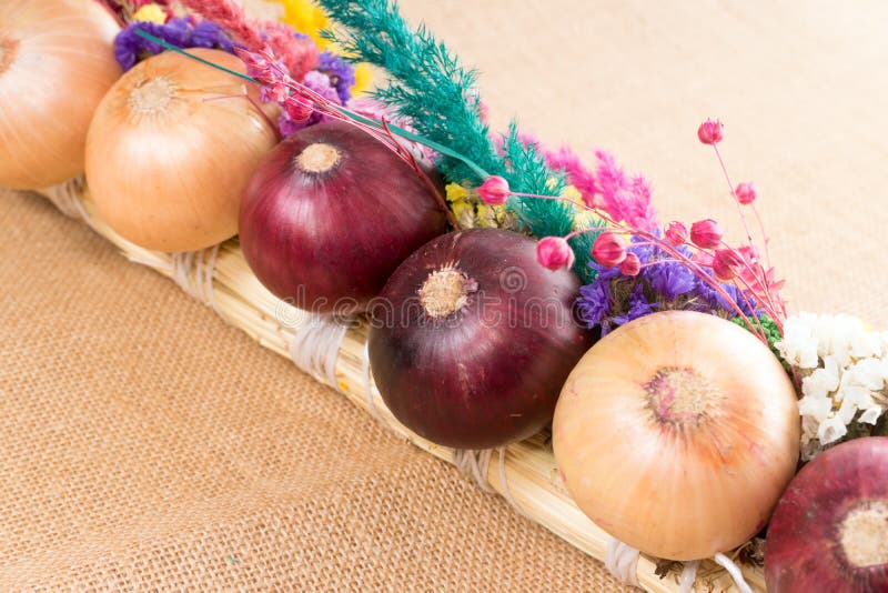 Onion plait stock photo. Image of foliage, colorful, onion - 80654498