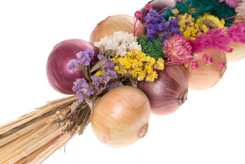 Onion plait stock photo. Image of foliage, colorful, onion - 80654498