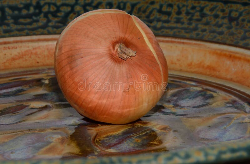 Onion on plate stock photo. Image of golden, seasoning - 64101728