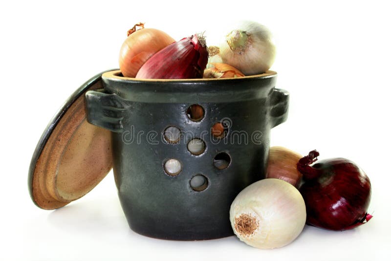 Onion Pot stock photo. Image of leeks, house, roots, flora - 14351930