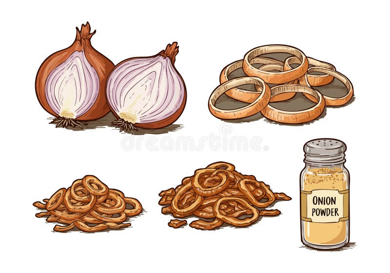 Onion and Onion Powder with Crispy Fried Onion Rings in Various Forms ...