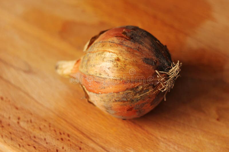 Onion prepare stock photo. Image of cooking, ingredient - 78427978