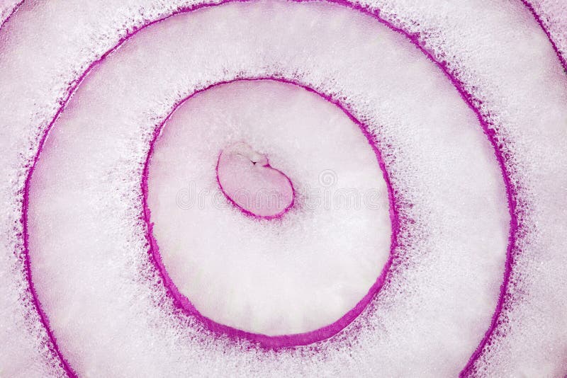 Onion Red, Cut Inside Close-up, Macro Rings Violet, Top View Stock ...