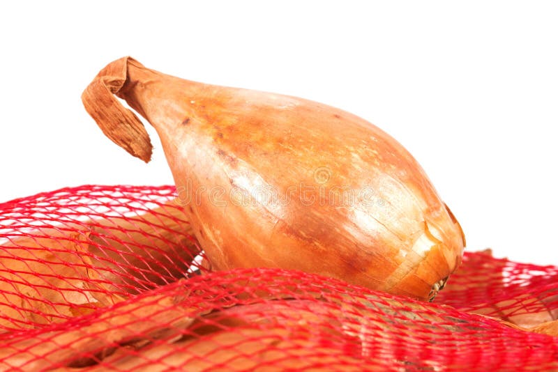 Onion on red net stock photo. Image of healthy, ingredient - 23531562
