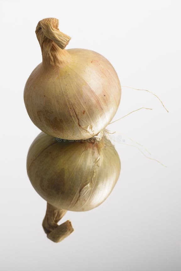 Onion stock photo. Image of harvest, isolated, yellow - 36099516