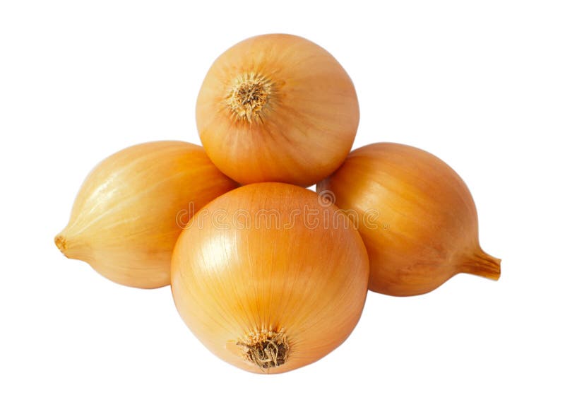 Onion root stock image. Image of nutrition, bulb, vegetarian - 22062827