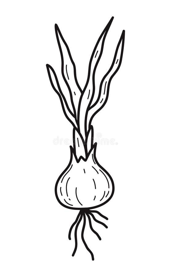 Root Vegetable Hand Stock Illustrations – 15,163 Root Vegetable Hand ...