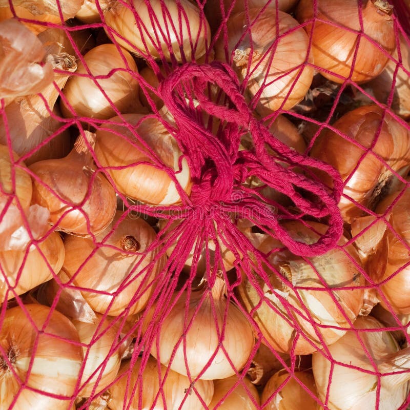 Onion in sack stock image. Image of onion, rural, farming - 18213115