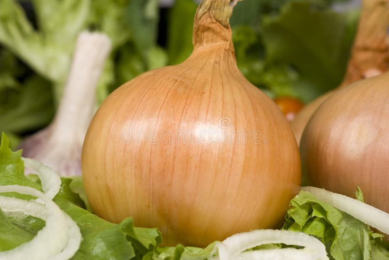 Pipes stock photo. Image of pipe, material, curves, long - 21038774