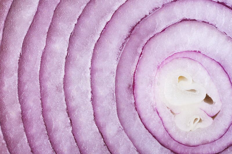 Onion Section Micro Close Up Stock Photo - Image of background, texture ...