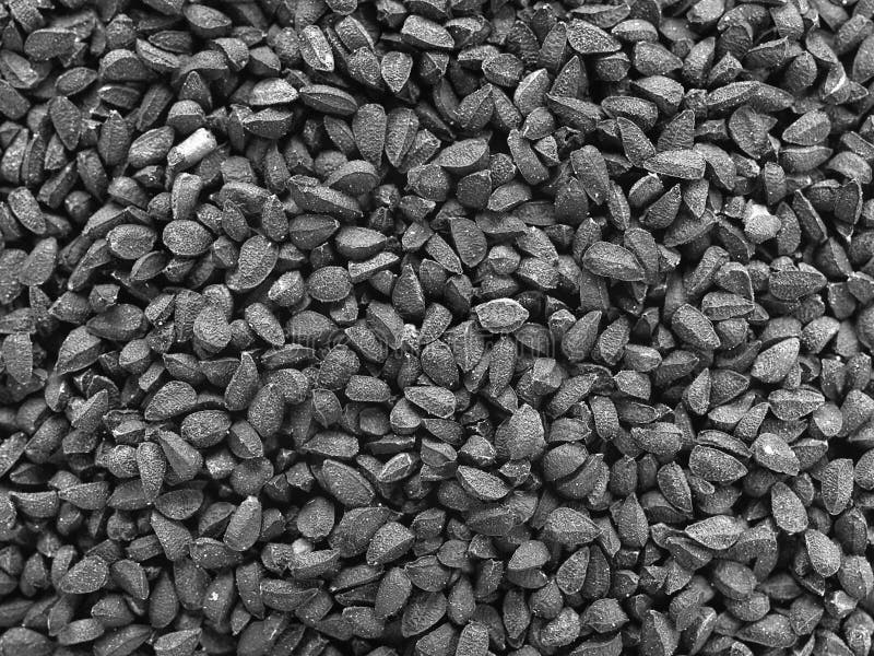 Onion seeds stock image. Image of kitchen, aromatic, food - 4114067