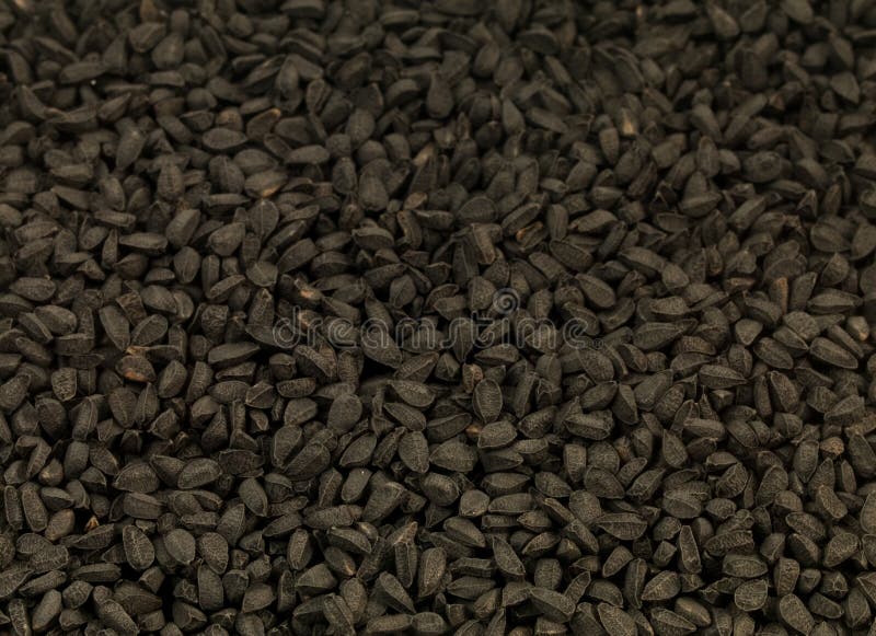 Onion Seeds stock image. Image of black, matt, seeds, triangular - 9250277