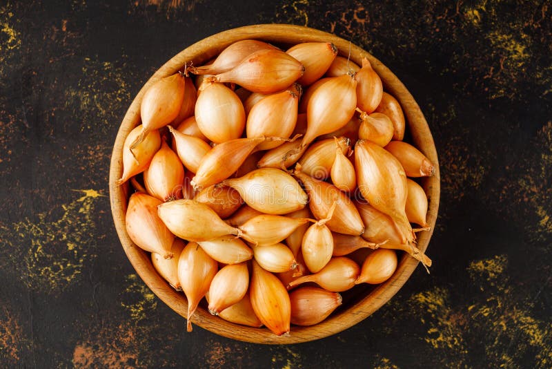 Onion Seeds on a Dark Rustic Background Stock Image - Image of plant ...