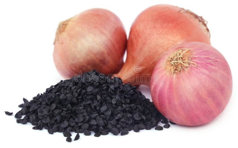 Onion seeds stock image. Image of cultivation, grain - 69074789