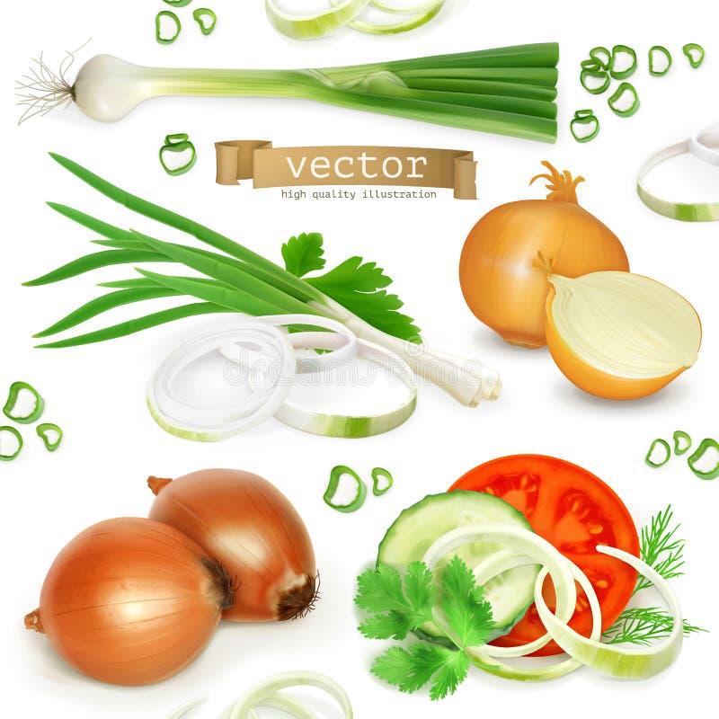 Onion set, vector icons stock vector. Illustration of design - 84247475