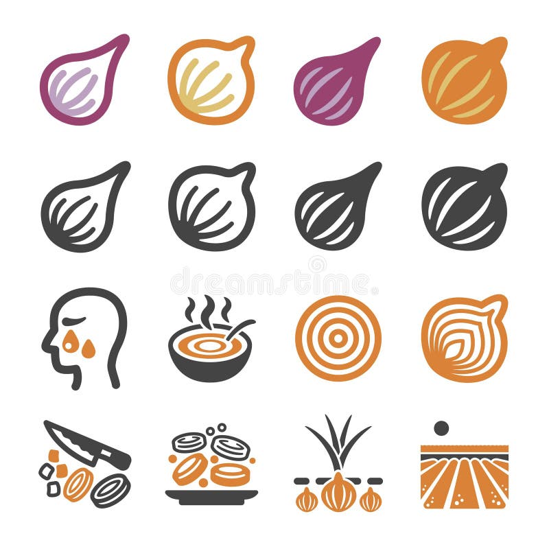 Onion,shallot icon set stock vector. Illustration of scallion - 135274183