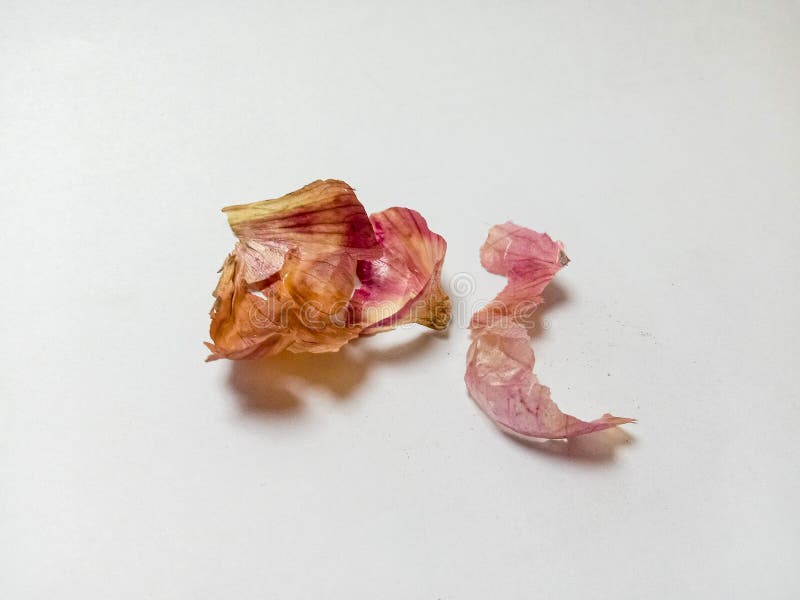 Onion Skins that Have Dried. Indonesia, 2023. Stock Image - Image of ...